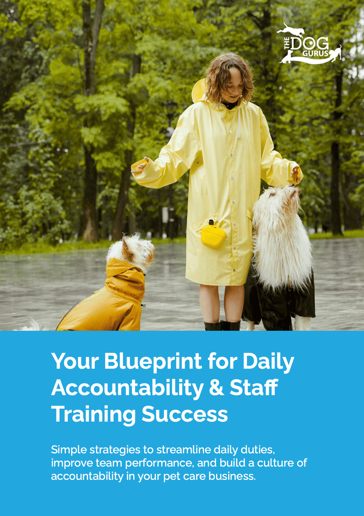 Your Blueprint for Daily Accountability and Staff Training Success